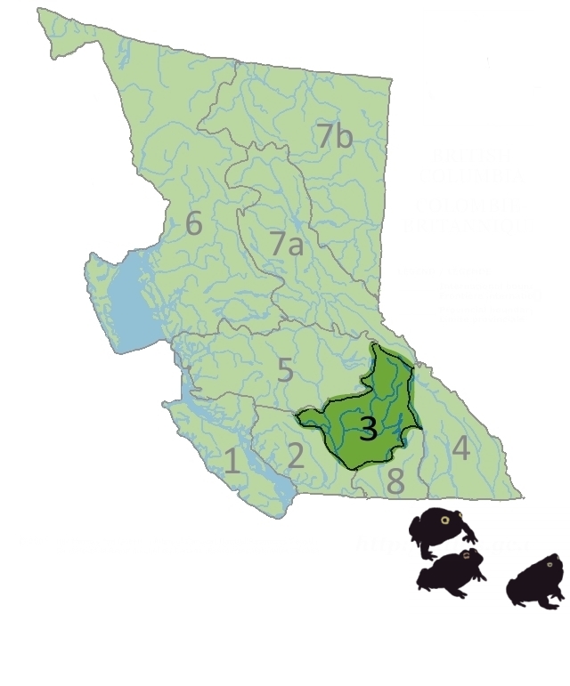 Thompson River (Nicola) Region – BCWF Bog Blog