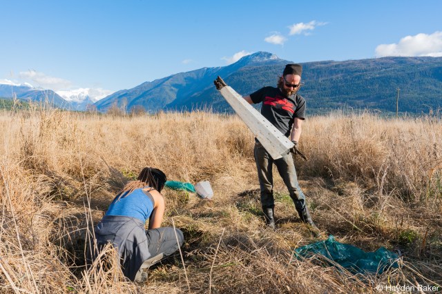 Conservation in the Kootenays: Restoring Wetlands for Wildlife – BCWF ...