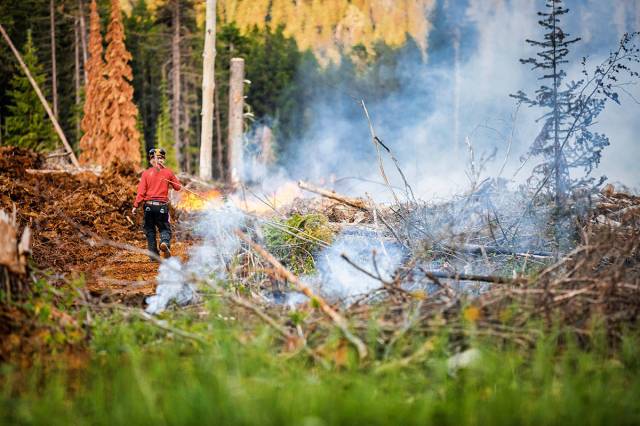 Fire & Water in the East Kootenays – BCWF Bog Blog