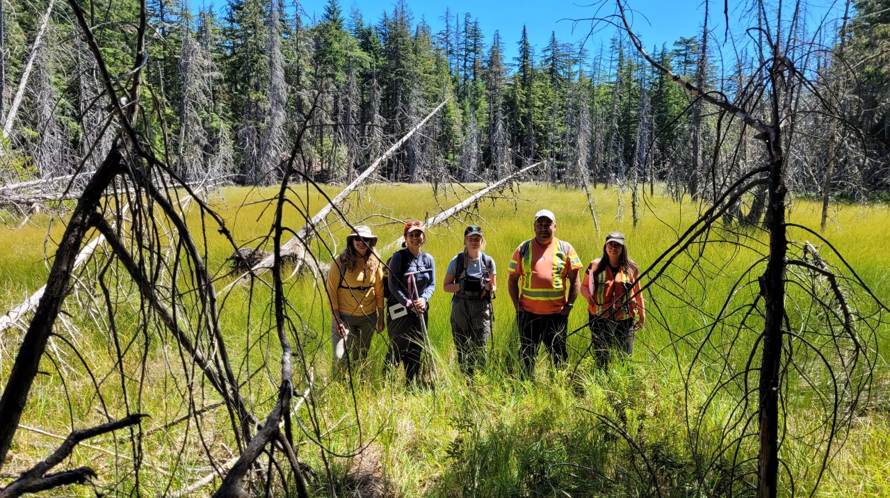 Wetland Ecosystem Services Protocol: A Powerful Tool For Assessing ...